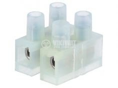 Luster terminal polyamide 2-pole 4mm2 32A 400V transparent - VIKIWAT