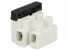 Luster terminal polyamide 2-pole 2.5mm2 24A 450V white - VIKIWAT